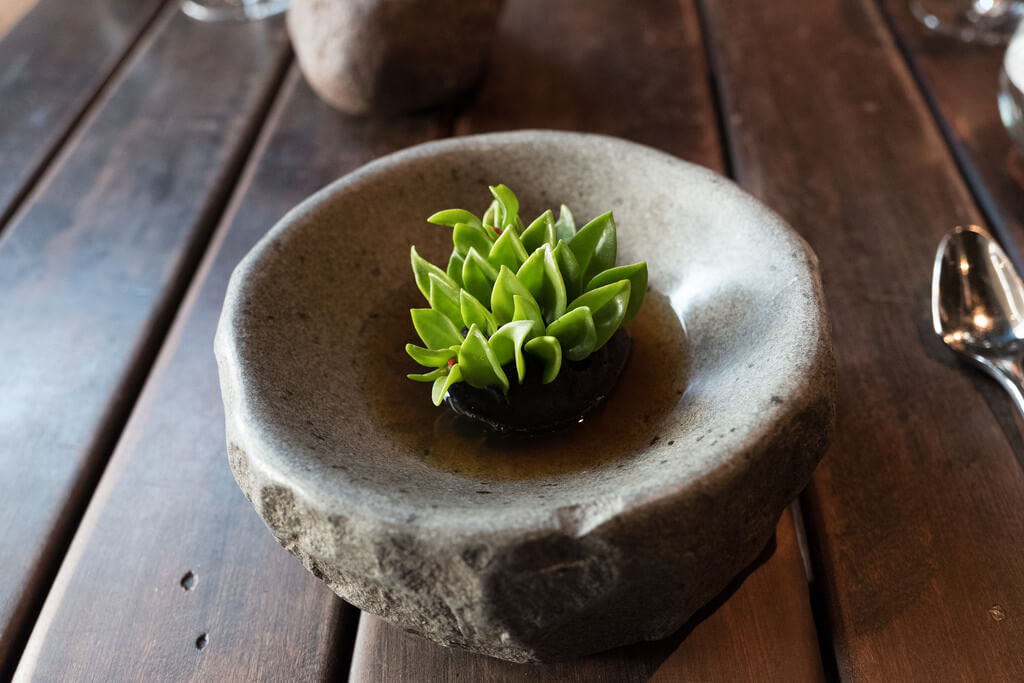 Restaurant Boragó in Santiago, een van de beste restaurants ter wereld